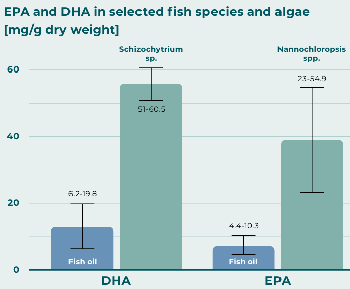 Seafood Media Group - Worldnews - The Future is Green: EU Study Highlights Algae's Potential in ...